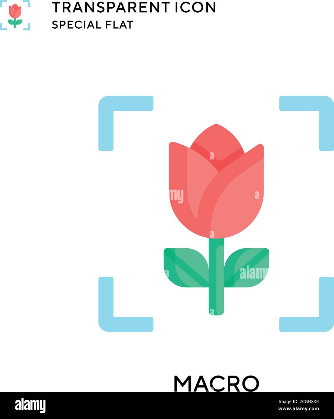 Macro vector icon. Flat style illustration. EPS 10 vector Stock Vector ...