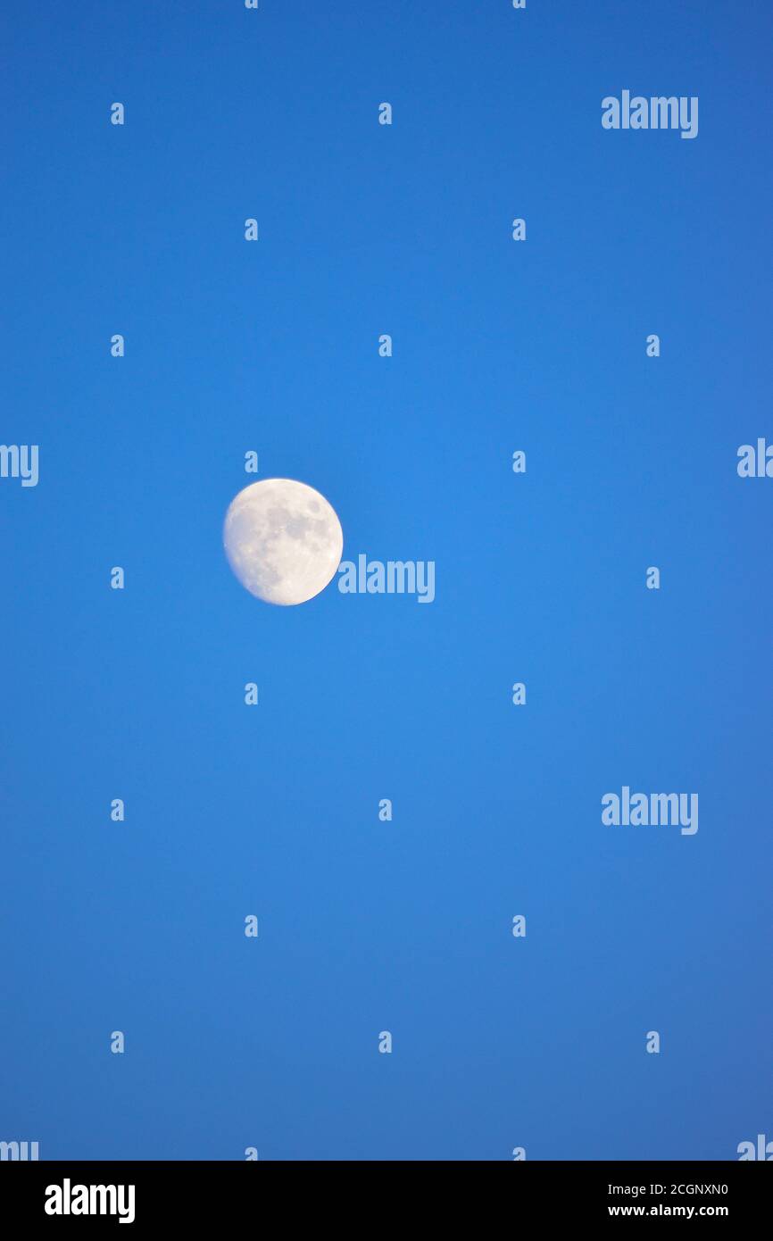 Full Moon with blue dusk sky background Stock Photo - Alamy