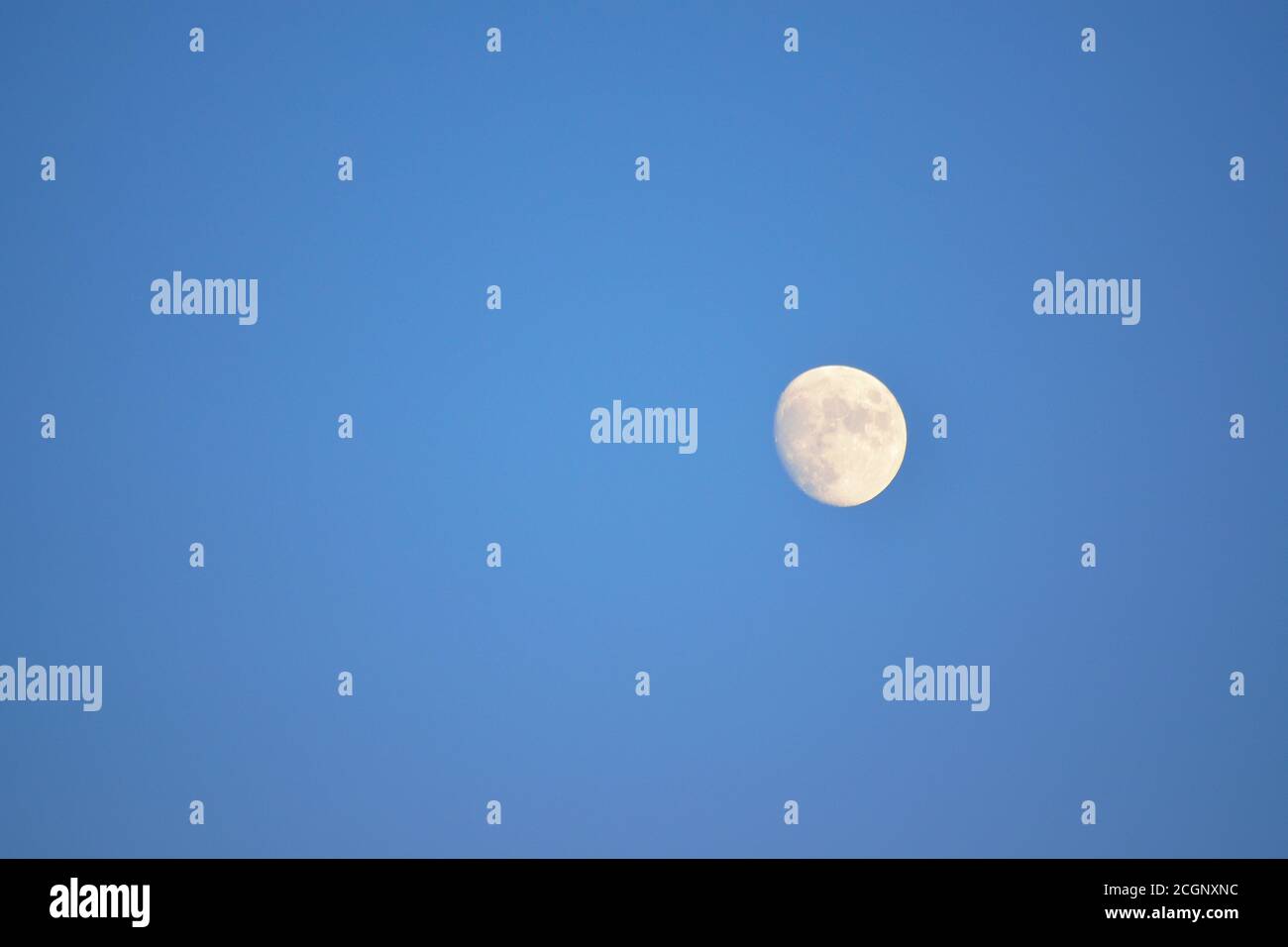 Full Moon with blue dusk sky background Stock Photo - Alamy