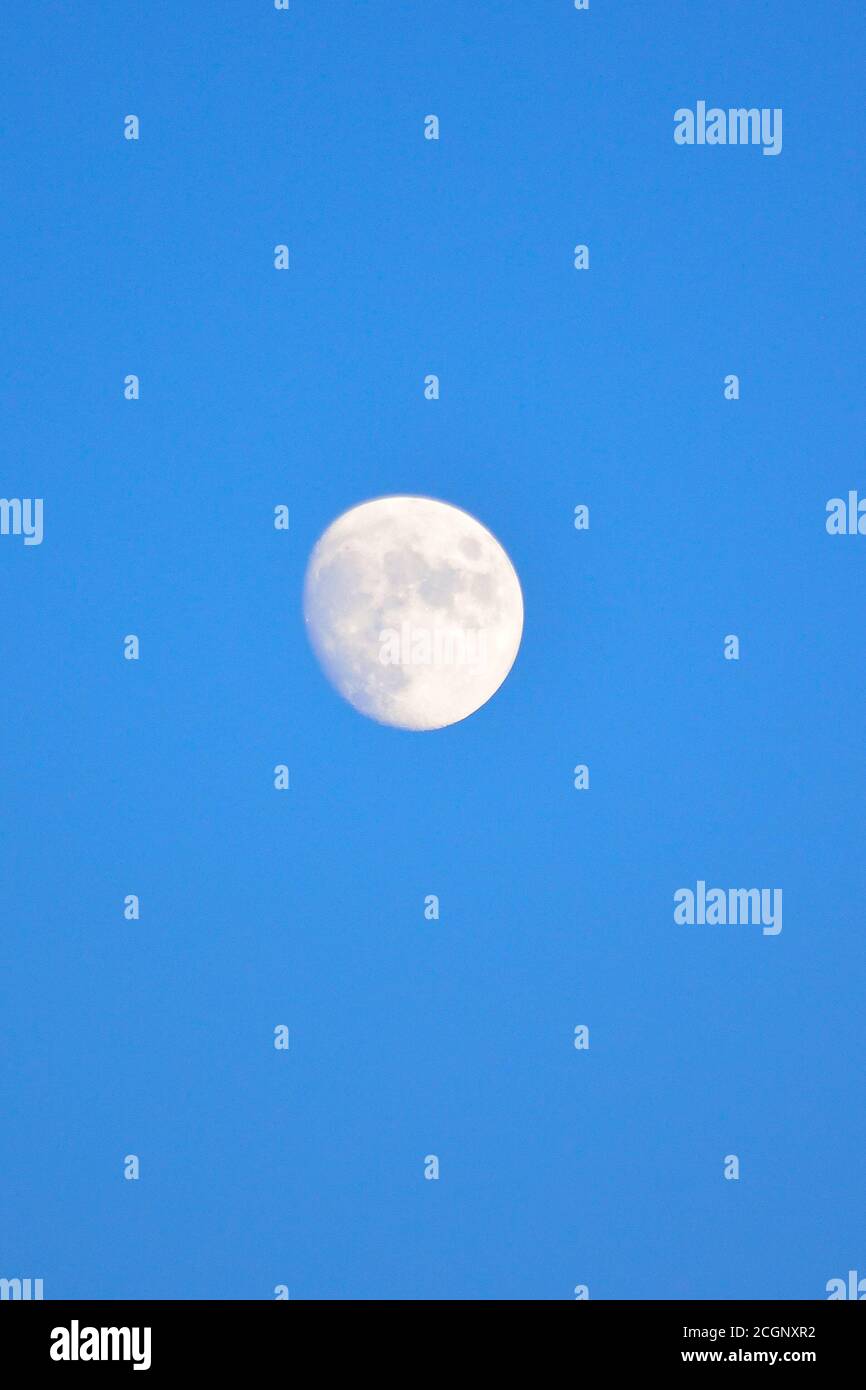 Full Moon with blue dusk sky background Stock Photo - Alamy
