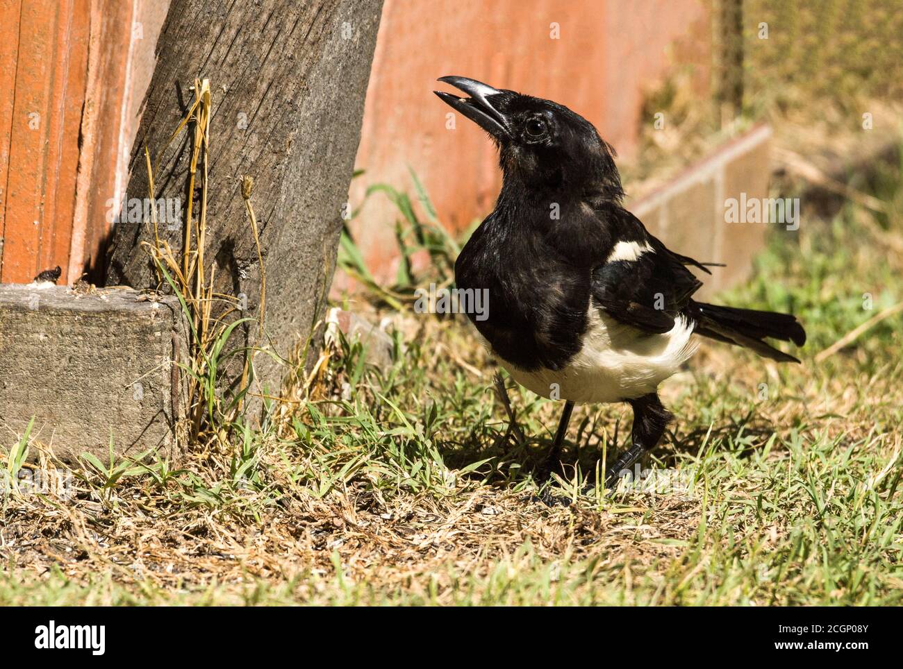 Brochures south africa hi-res stock photography and images - Alamy