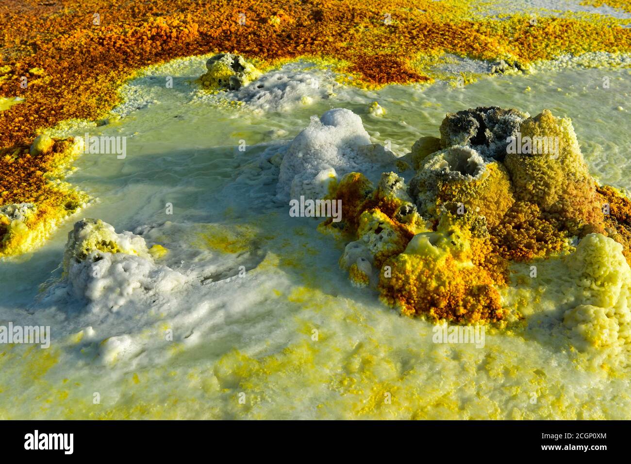 Hot mineral springs, salt pools and salt deposits brightly coloured by ...
