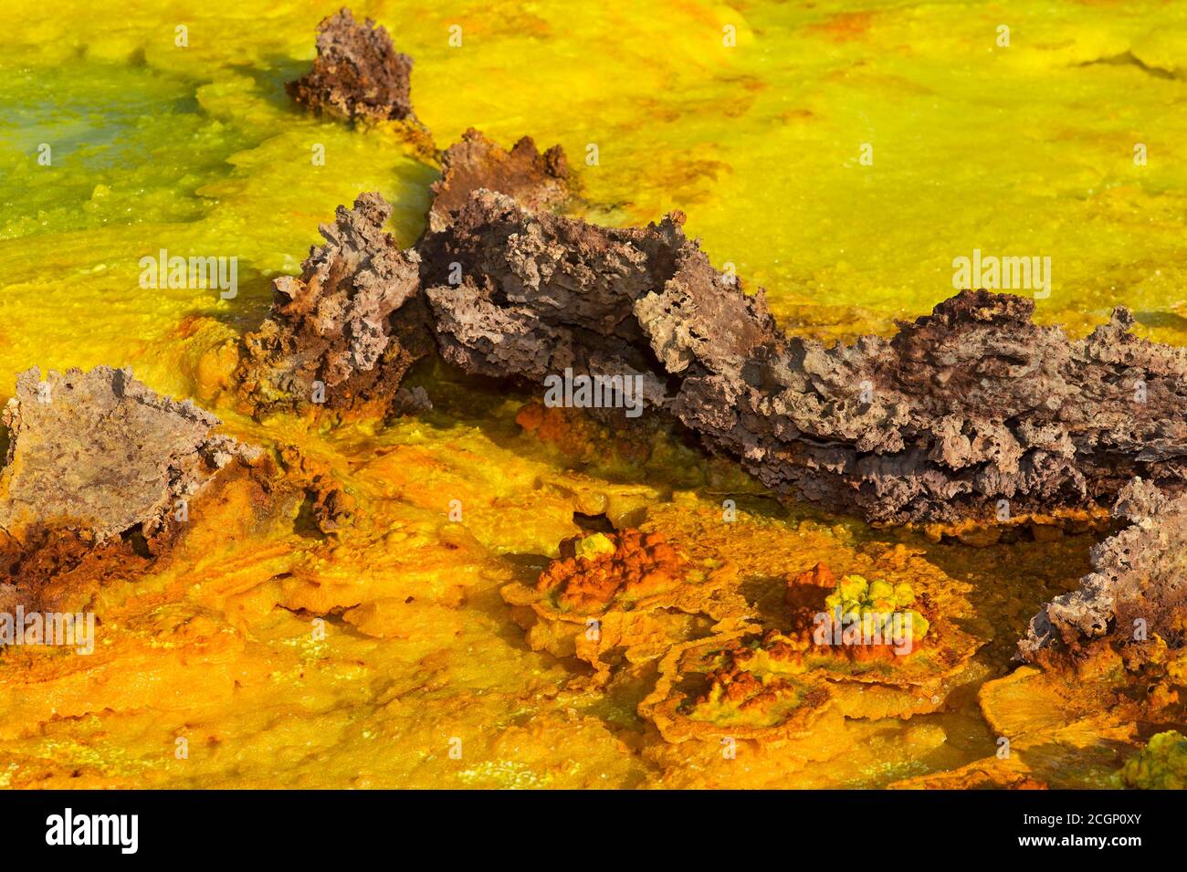 Salt structures in a highly saturated acidic brine pool, Dallol ...