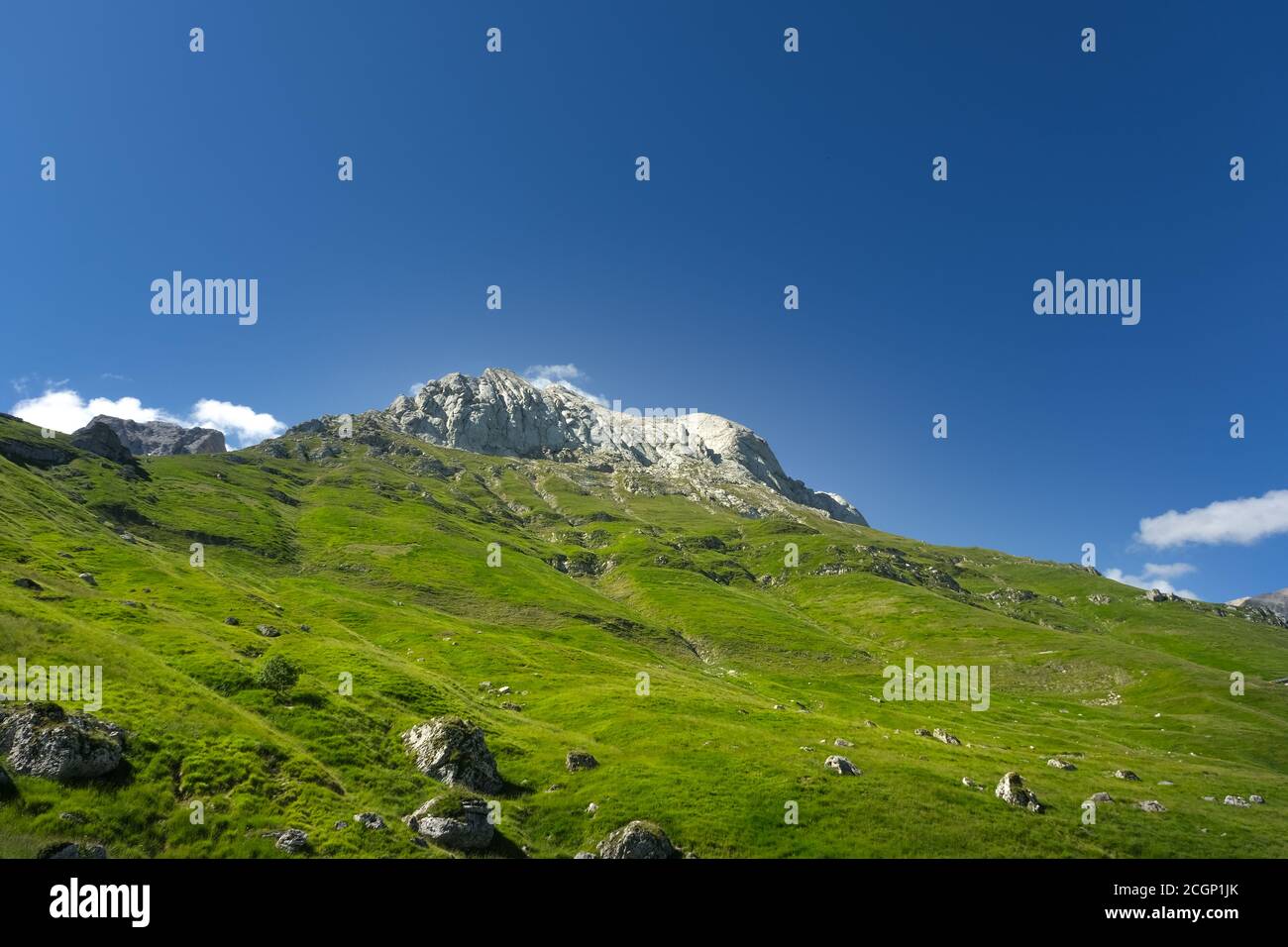 Small horn hi-res stock photography and images - Alamy