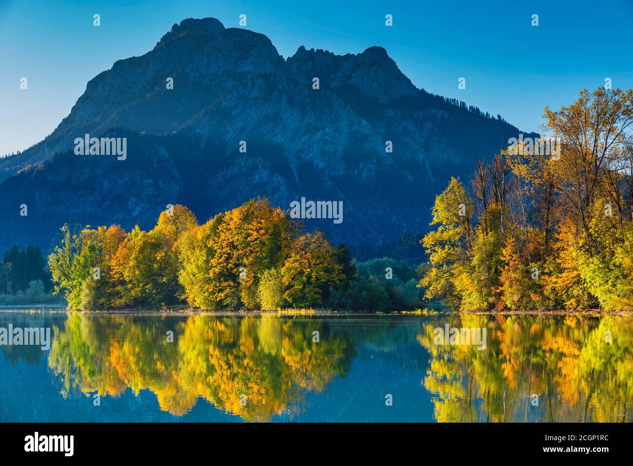Forggensee in autumn, behind it the Saeuling, Ammergau Alps, Allgaeu ...