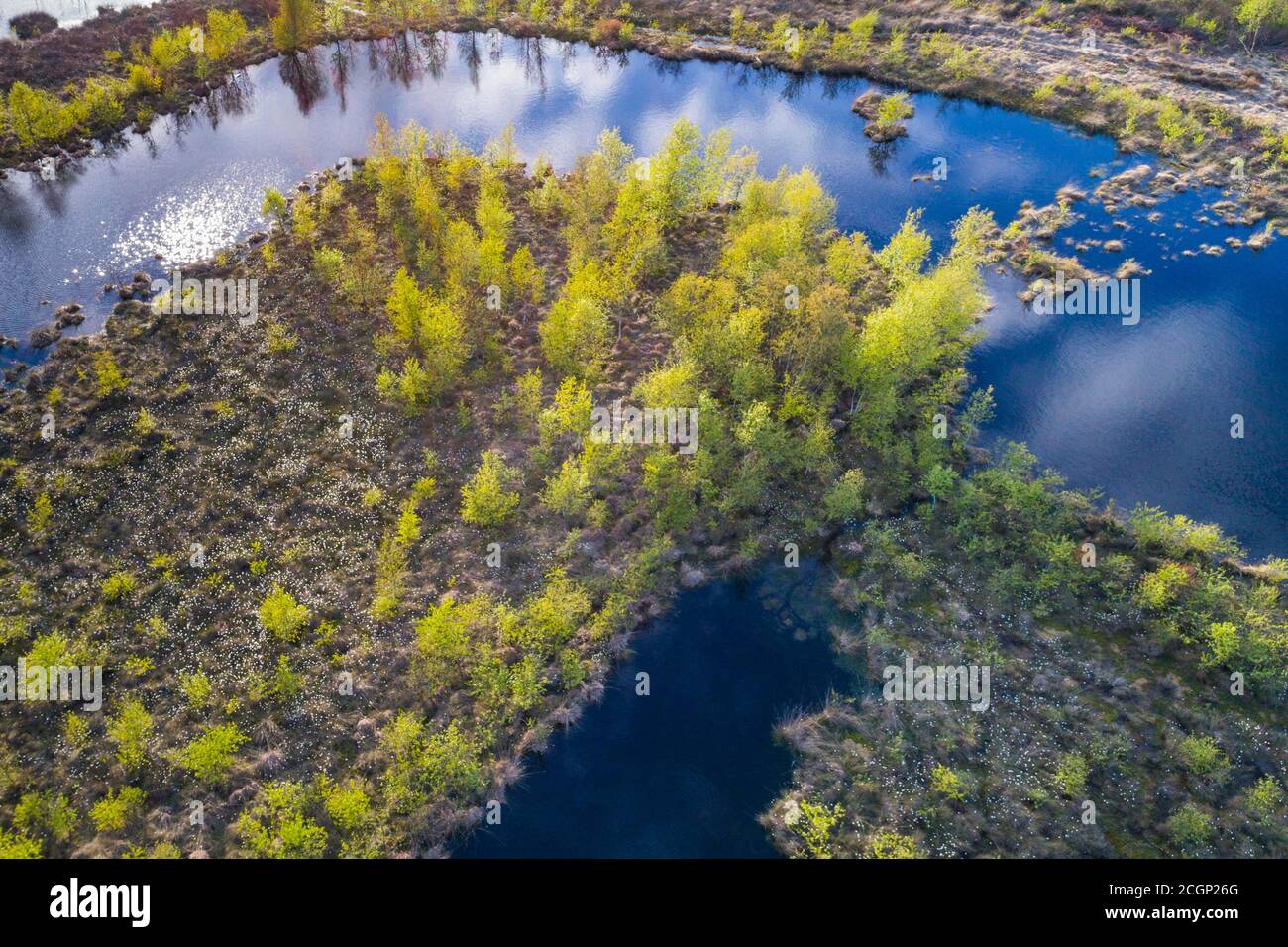 Aerial view, vegetation and bog ponds, Goldenstedter Moor, Oldenburger ...