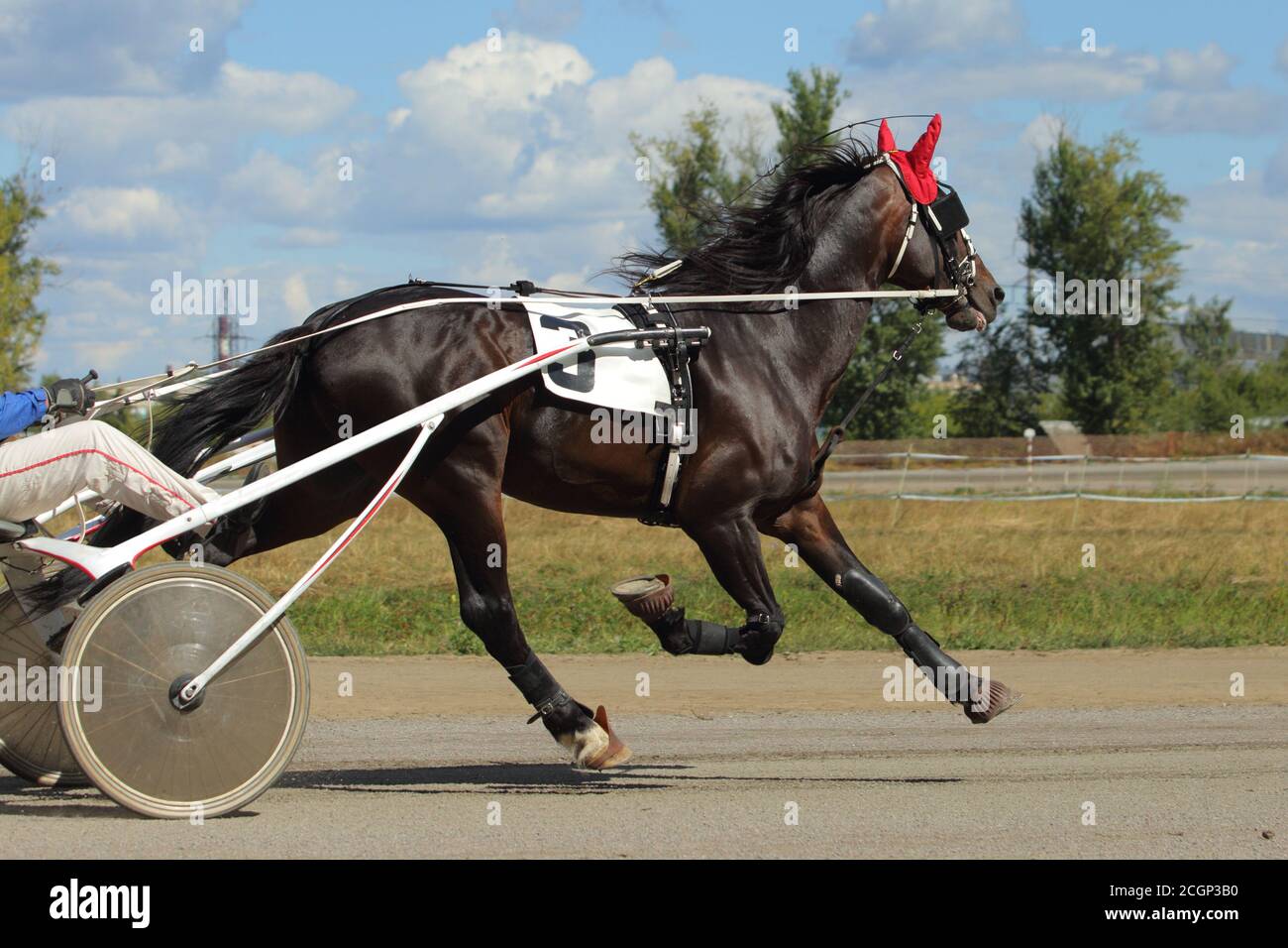 Trotter derby hi-res stock photography and images - Alamy