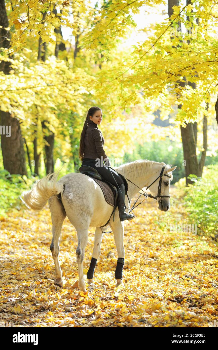 Arabian forest hi-res stock photography and images - Alamy