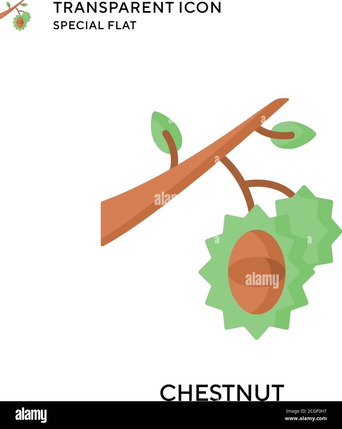 Fruit of the horse chestnut tree Stock Vector Images - Alamy