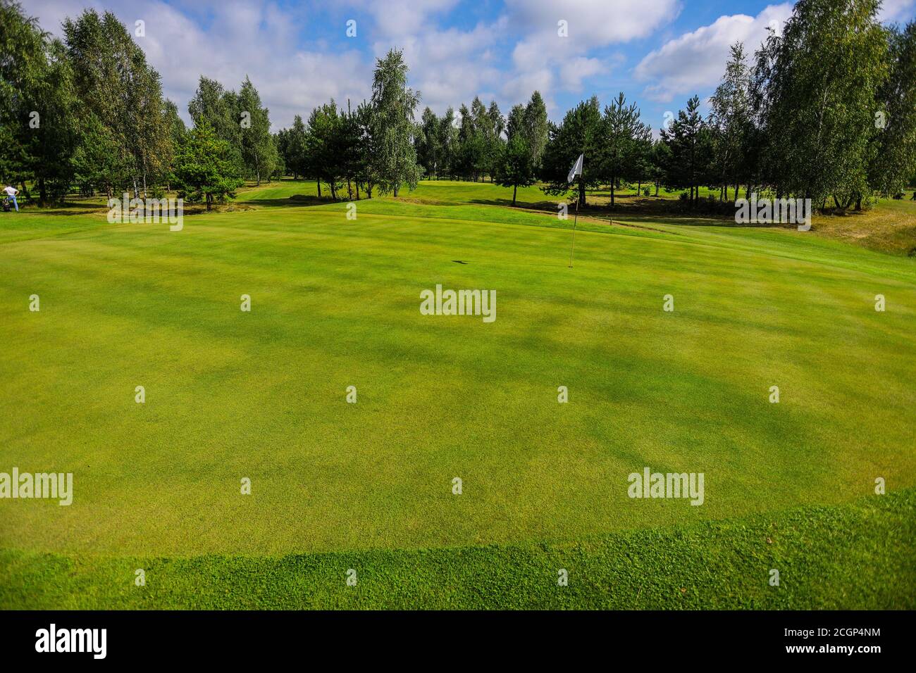Golf course covering grass for game Stock Photo - Alamy