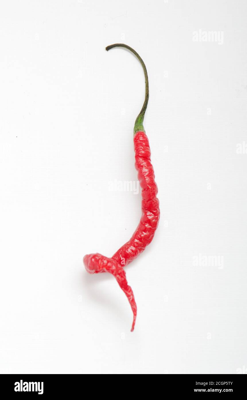 the art of red hot chili Stock Photo - Alamy