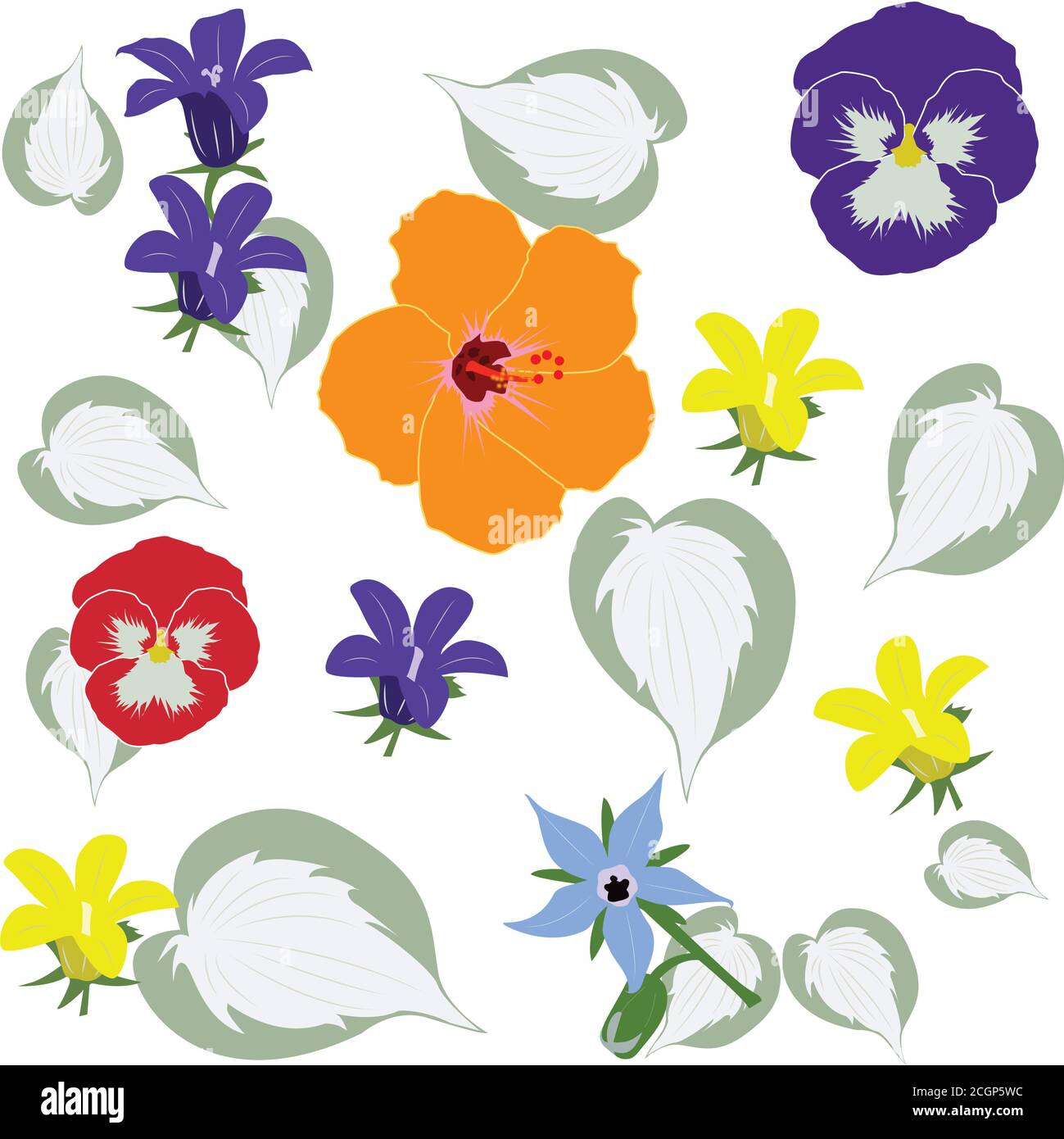Beautiful and colorful flowers seamless pattern Stock Vector Image ...