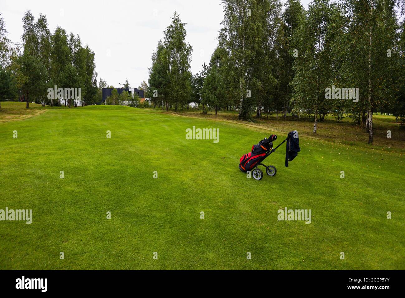 Golf course covering grass for game Stock Photo - Alamy