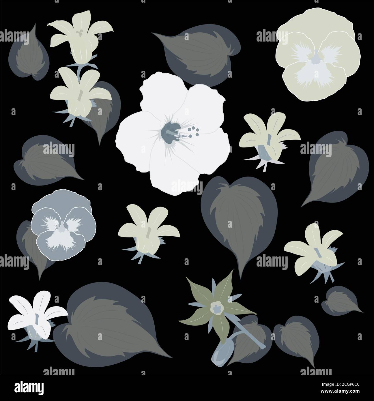 Tropical pattern exotic flowers Stock Vector Images - Alamy