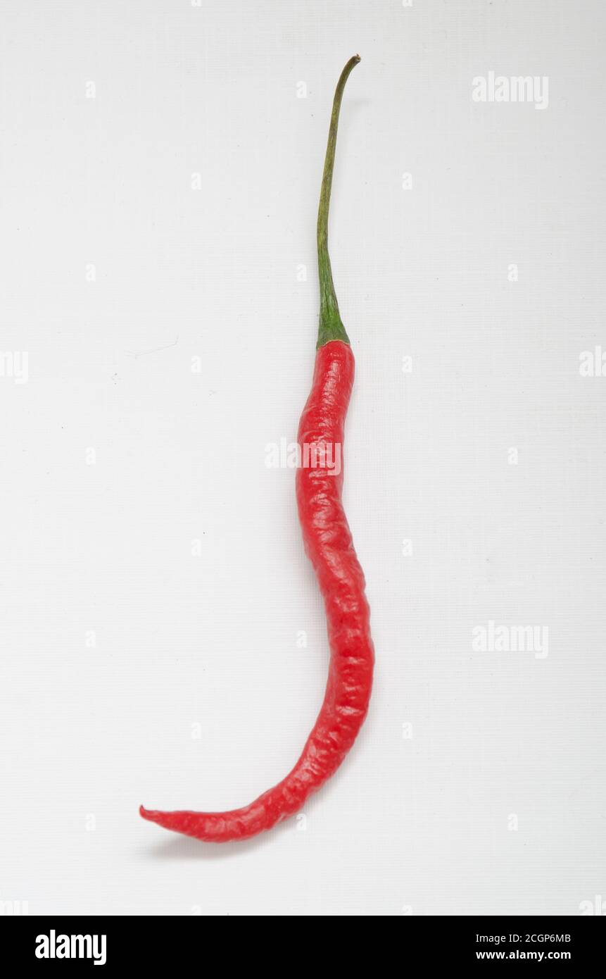 the art of red hot chili Stock Photo - Alamy