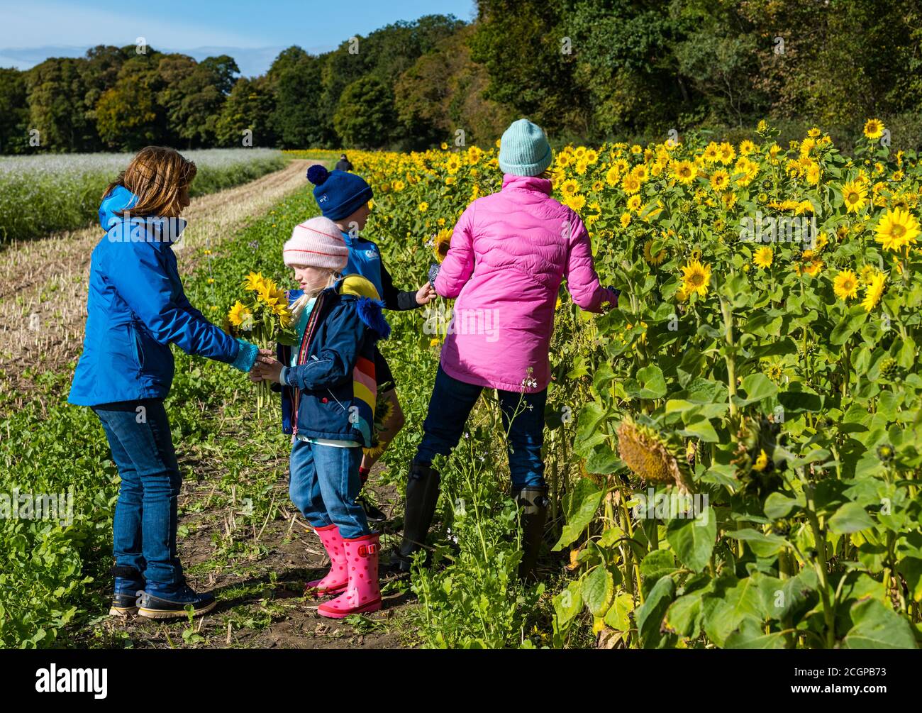 Matilda of scotland children hi-res stock photography and images - Alamy