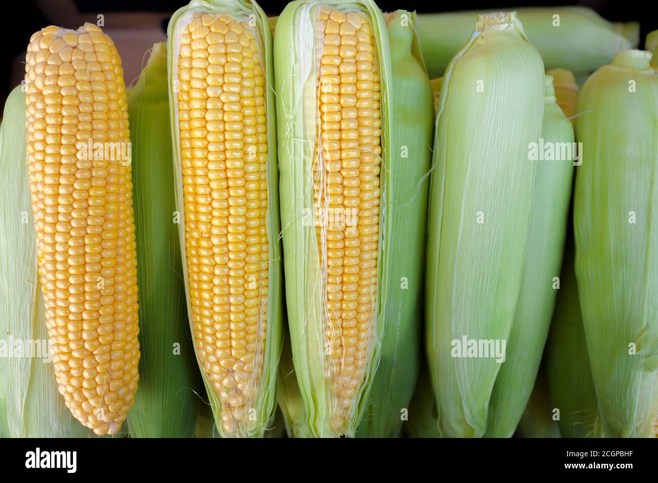 Quality Corn High Resolution Stock Photography and Images - Alamy