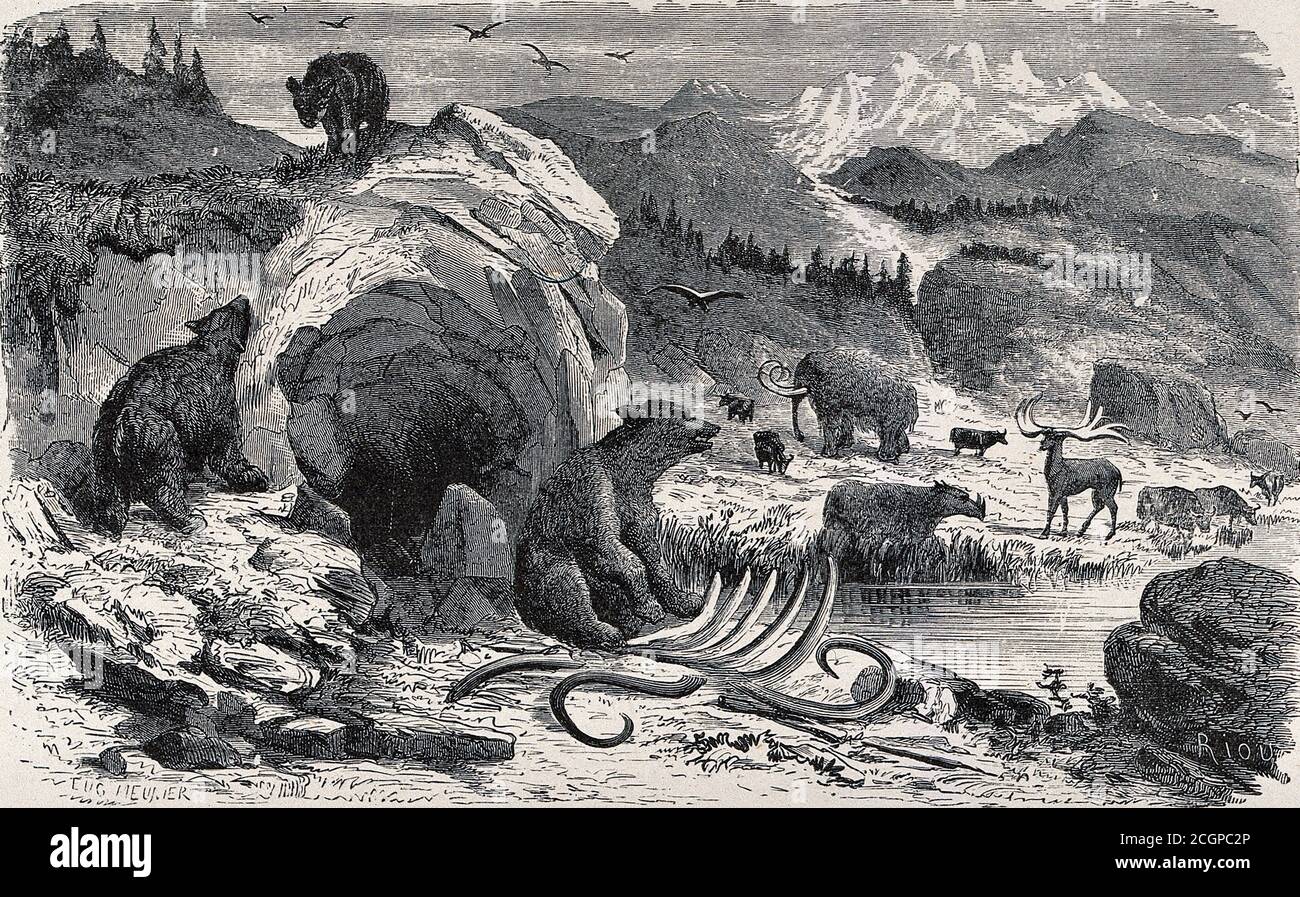 Quaternary hi-res stock photography and images - Alamy