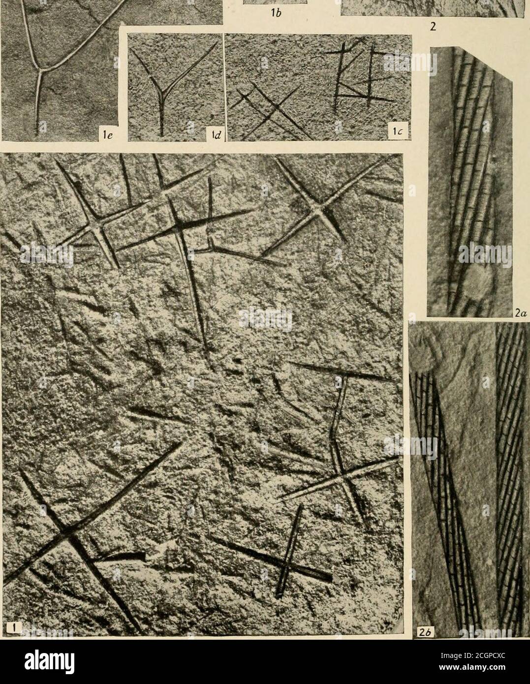 Nq rods hi-res stock photography and images - Alamy