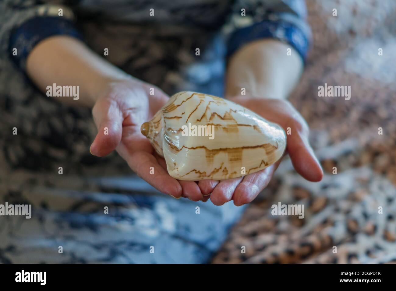 Seashell lady hi-res stock photography and images - Alamy