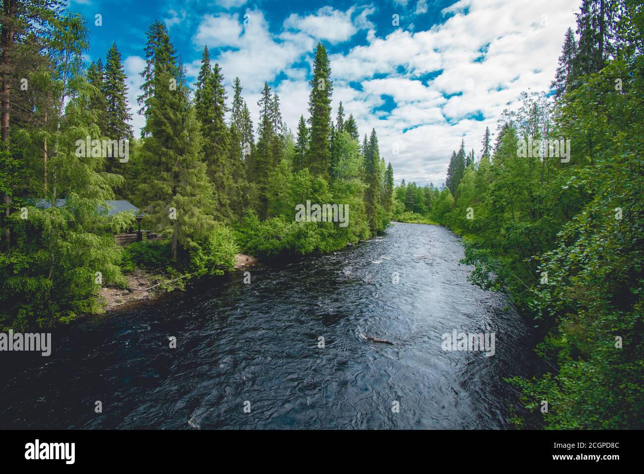 river rapidly flowing through the wilderness in Finland during summer ...