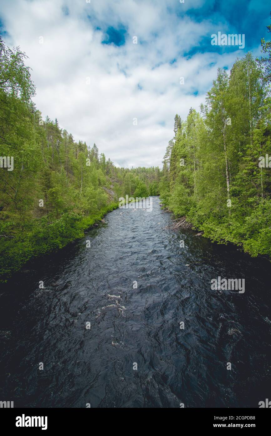 river rapidly flowing through the wilderness in Finland during summer ...