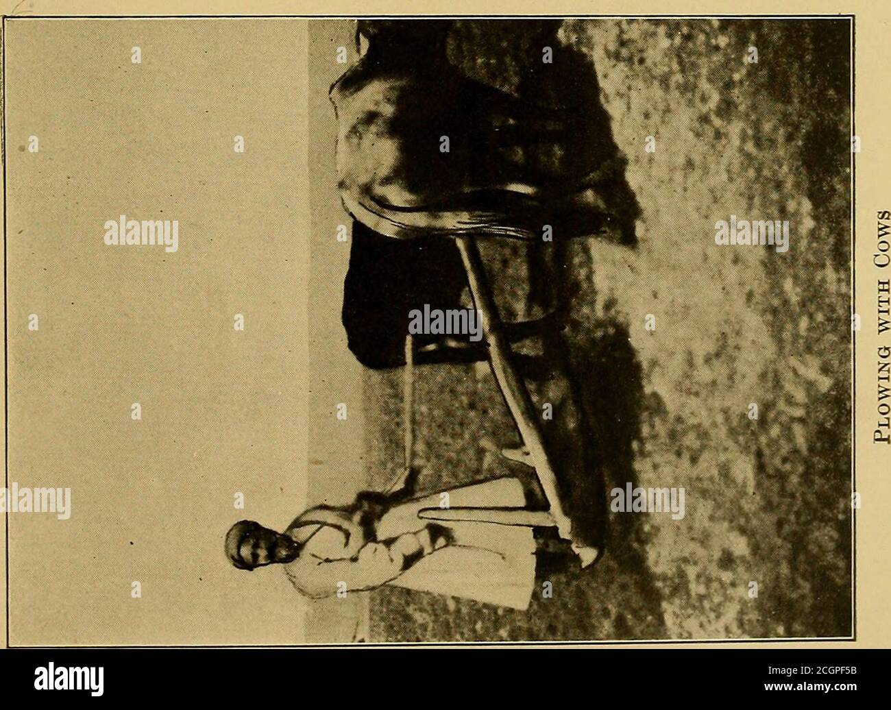 Ox goad hi-res stock photography and images - Alamy