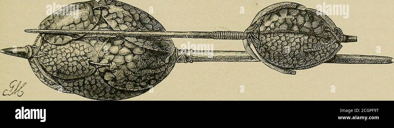 Taro patches hi-res stock photography and images - Alamy