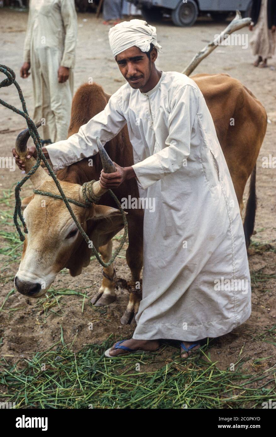 Buraimi 1972 hi-res stock photography and images - Alamy