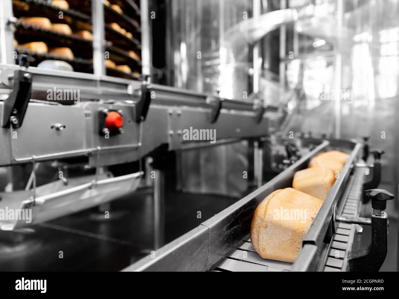 Automated production line bakery Fresh hot baked breads Stock Photo - Alamy