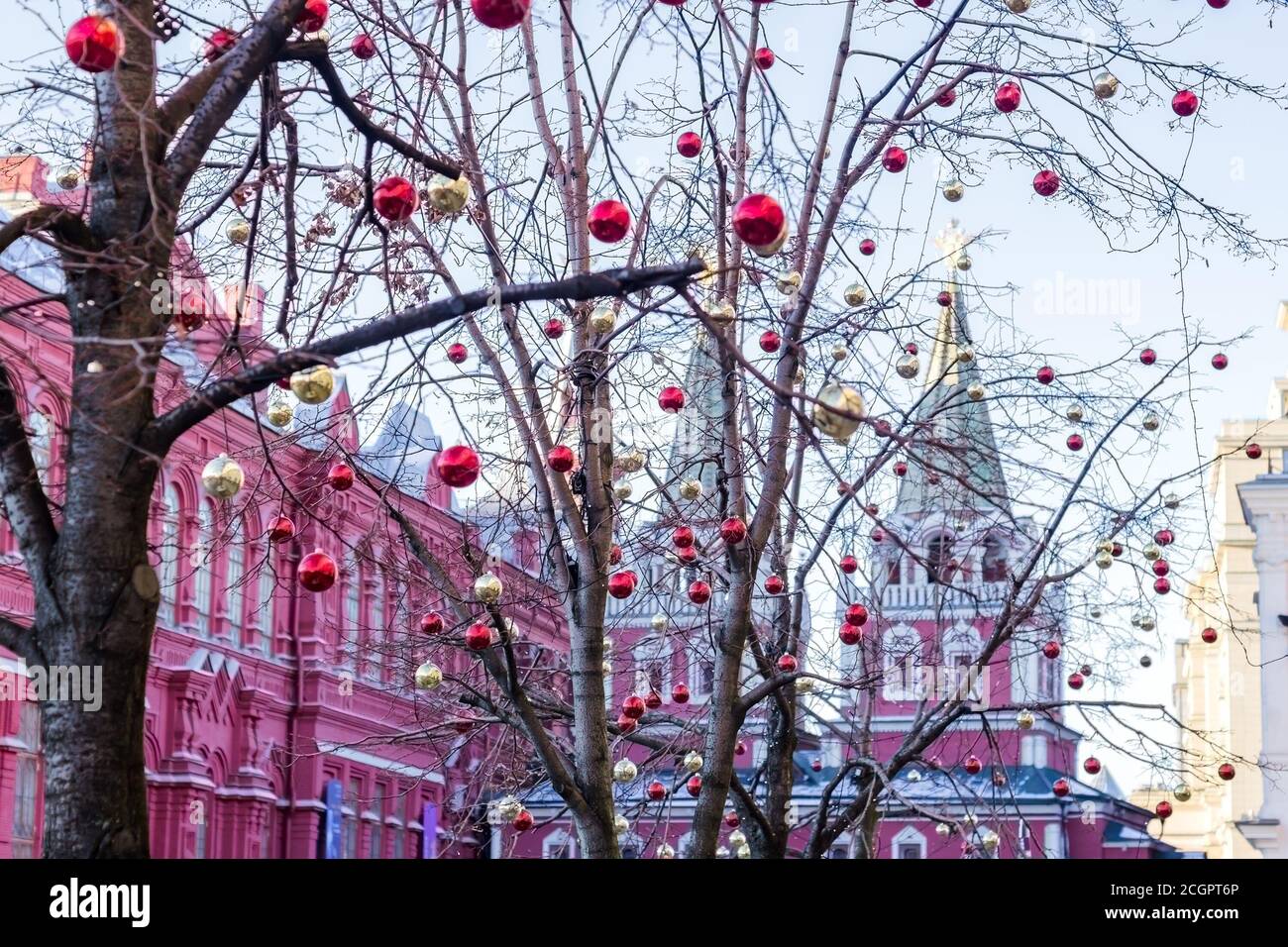 Christmas and New Year holidays background. tree without leaves ...