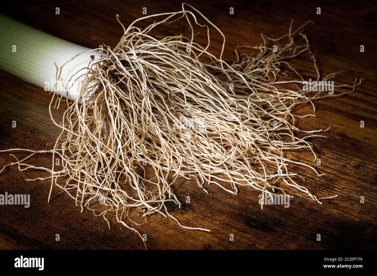 Organic leek root with ground crumbs on antique wood Stock Photo - Alamy