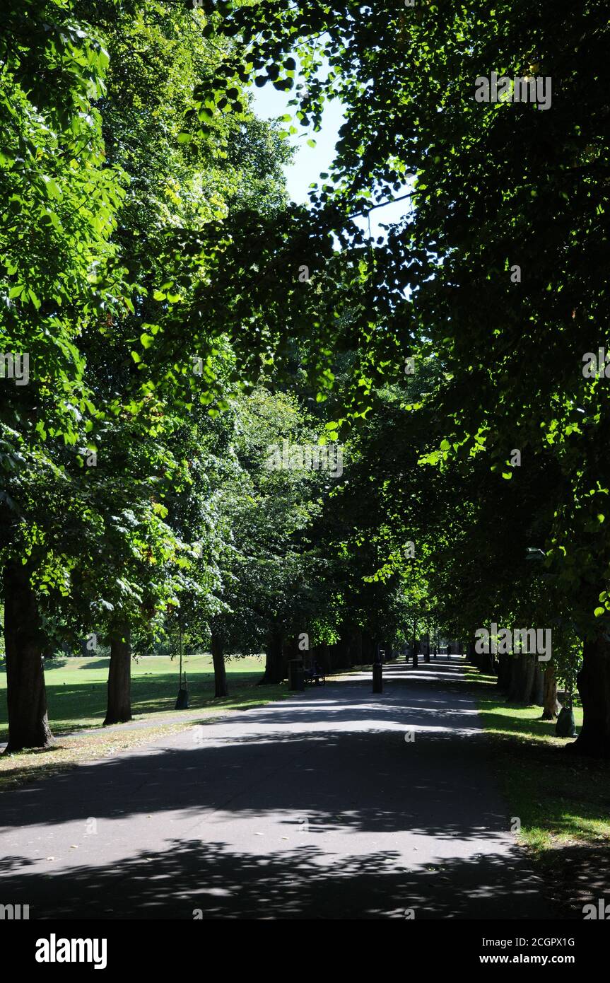 View Broad Walk, The Walks ,King's Lynn, Norfolk. The Walks is the only ...