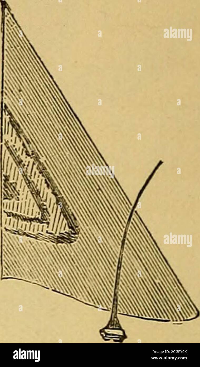 . The art of taming and educating the horse .. . Fig. 420. Fig. 421 ...