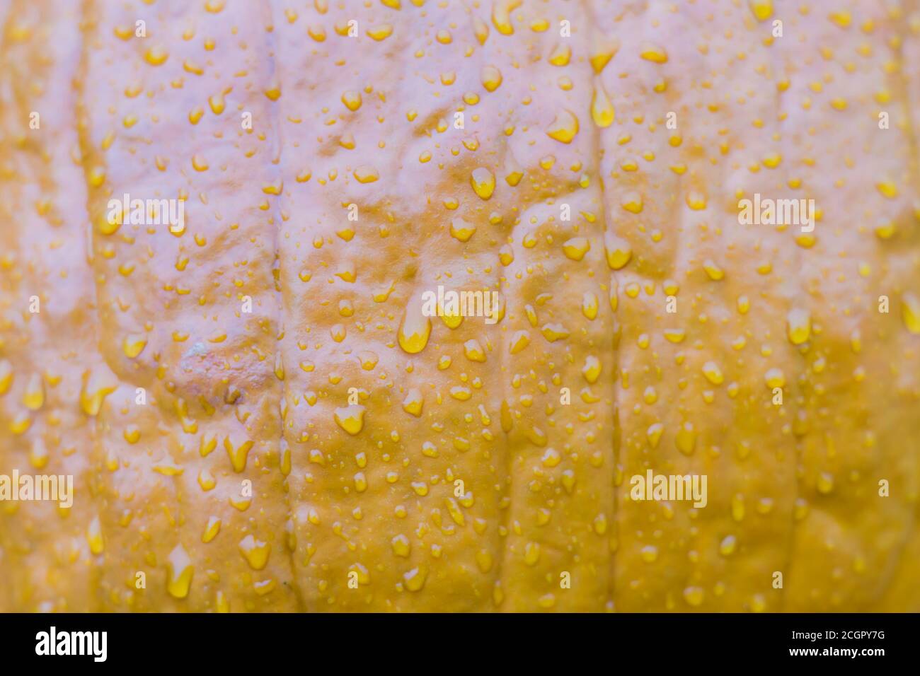 Squash close up drops water hi-res stock photography and images - Alamy