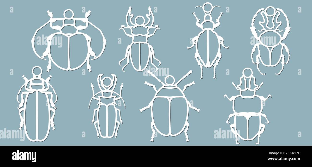 Beetle Template