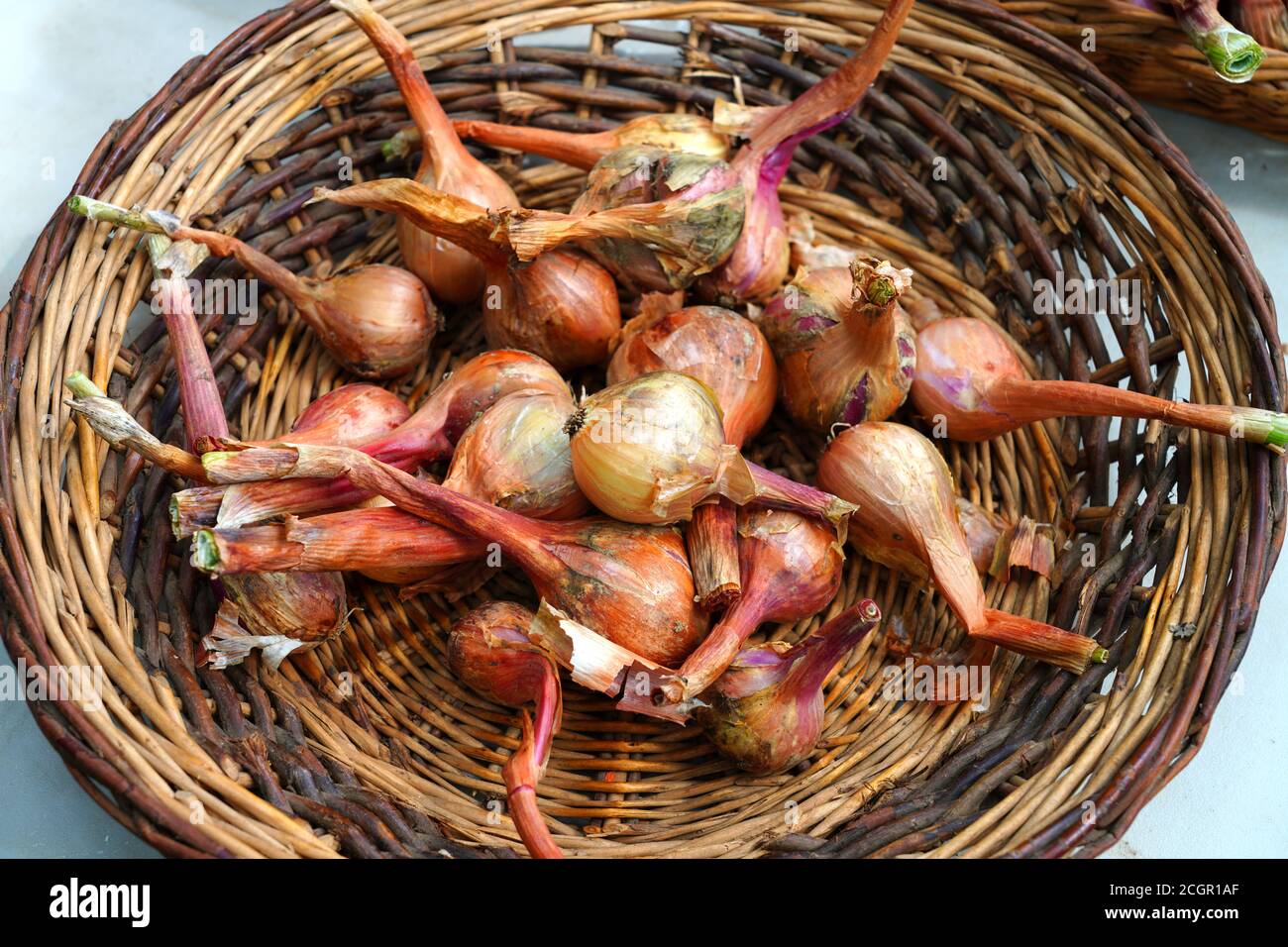 Fresh pink shallots at a farmers market Stock Photo - Alamy