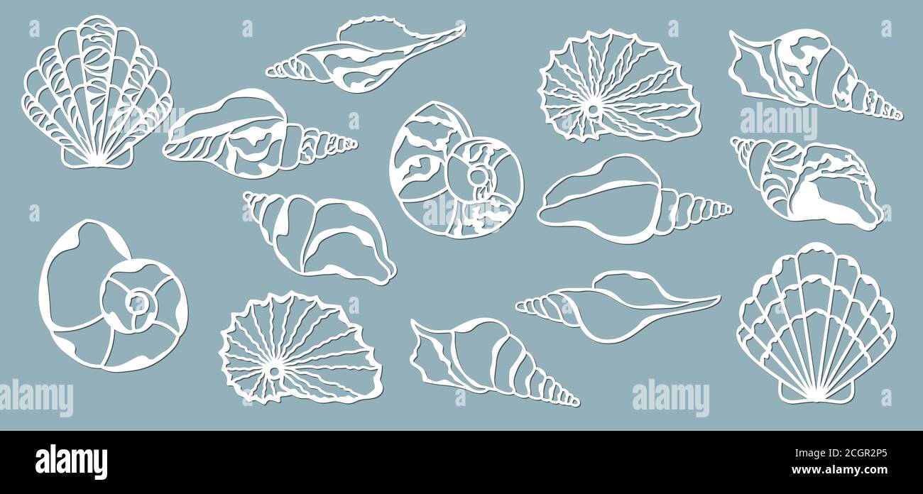 Shells of the sea. Laser cutting. Craft paper for decoration. Plotter ...