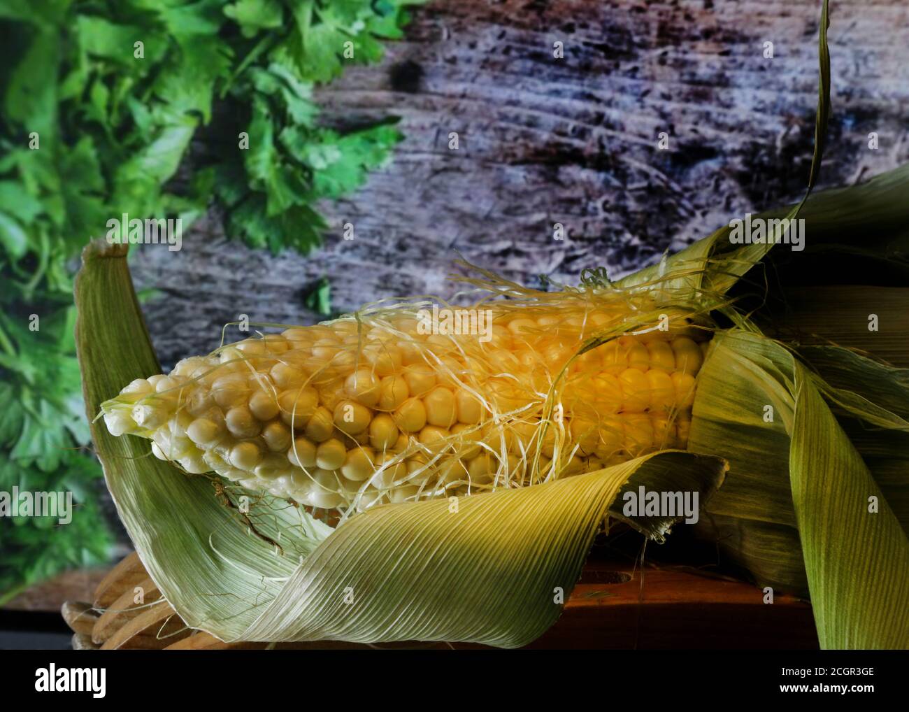 Fresh ear of corn Stock Photo - Alamy
