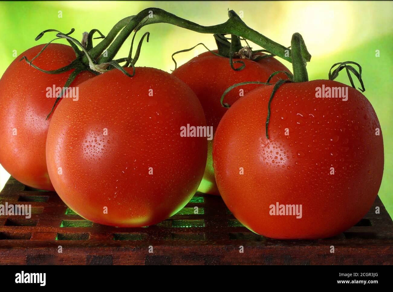Tomatoes Photo By Adam Scull/PHOTOlink.net Stock Photo - Alamy