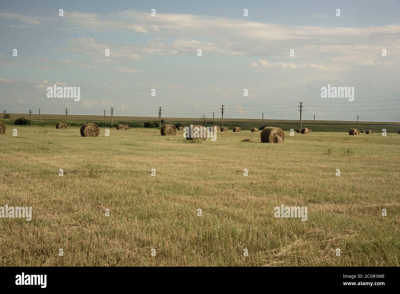 hay bales and power line Stock Photo - Alamy