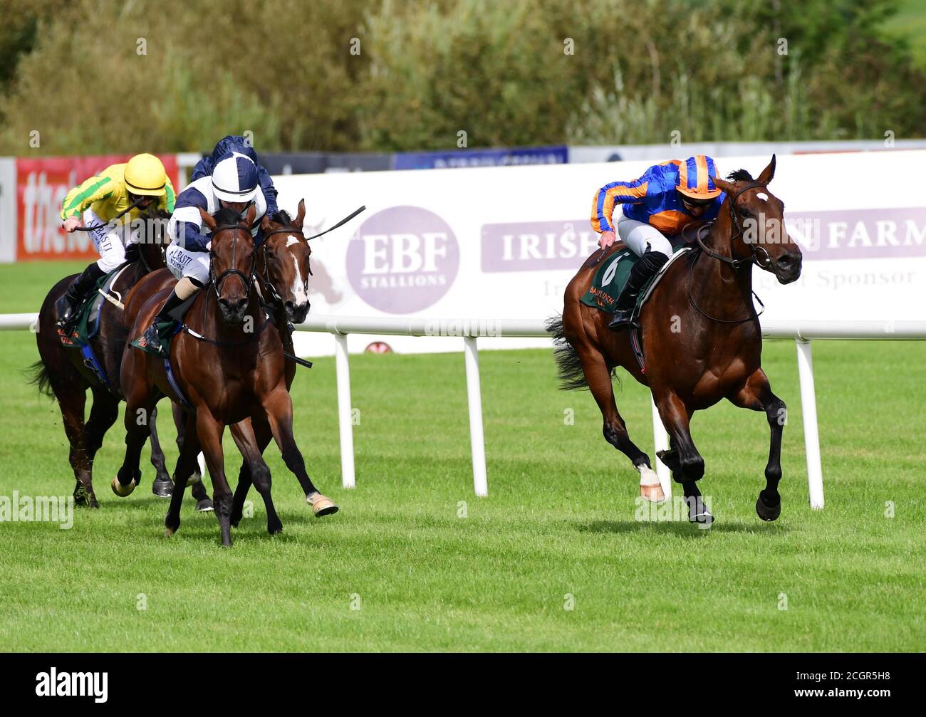 Ballylinch stud hi-res stock photography and images - Alamy