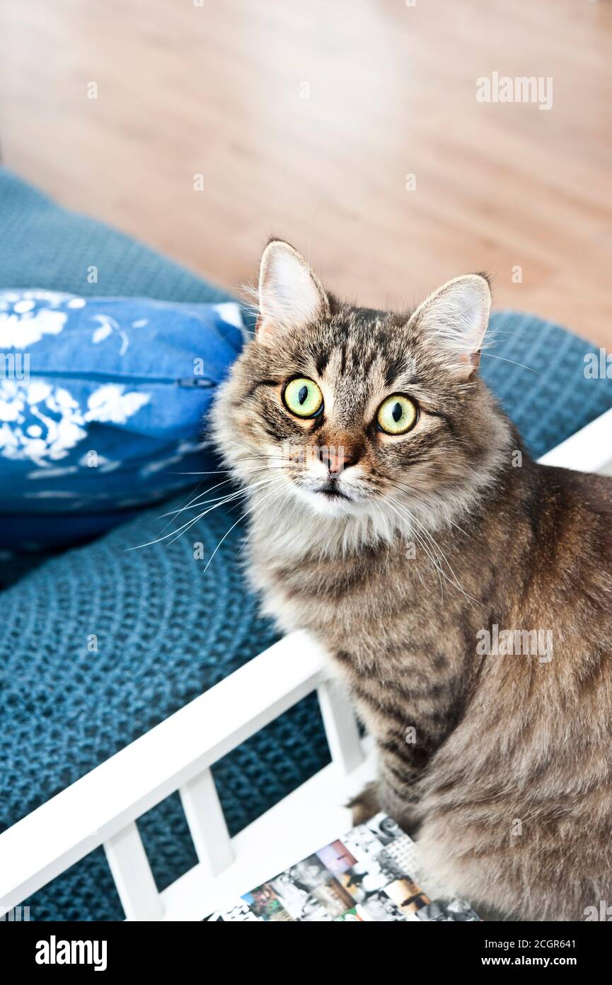 Attentive expression hi-res stock photography and images - Alamy