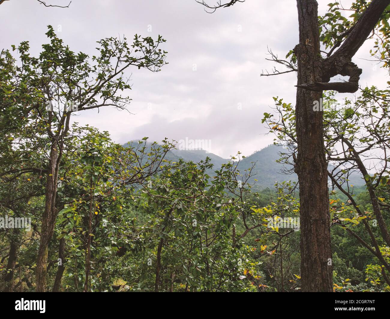 MOUNTAIN RANGES OF PACHMARHI , SATPURA IN THE CENTRAL PART OF INDIA ...
