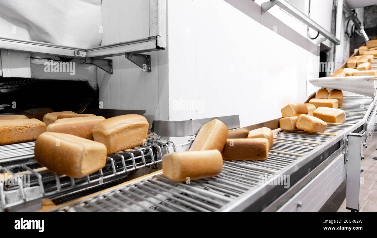 Automatic production line bakery Baked breads from hot oven Stock Photo ...