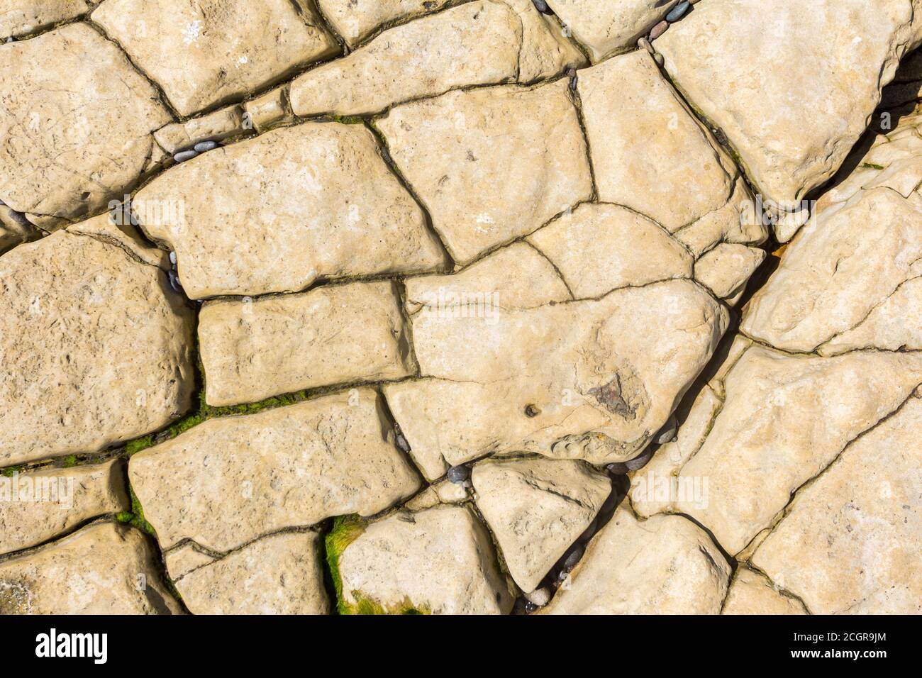 Cracked dry soil Stock Photo - Alamy