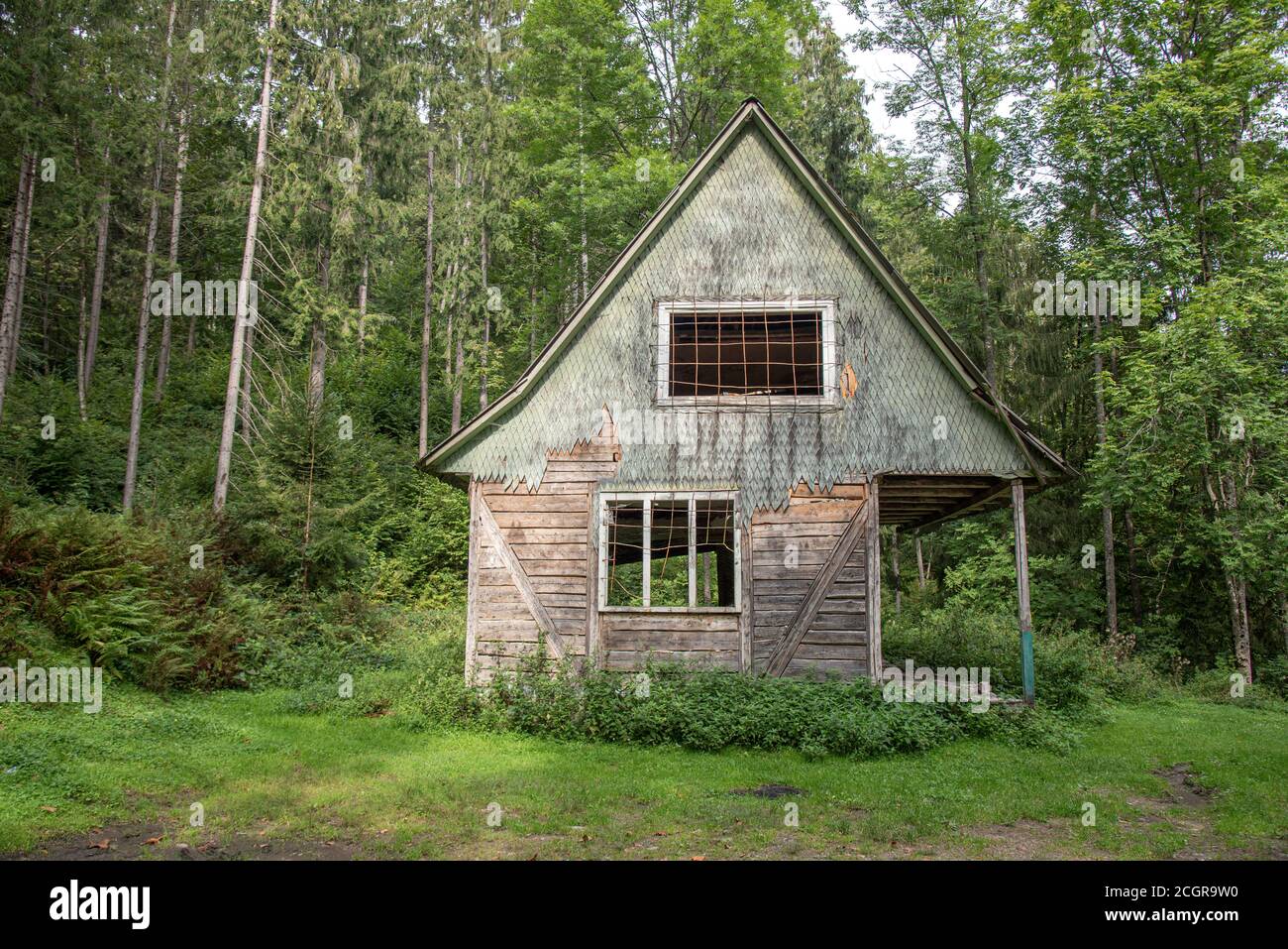 Dark Mansion In The Woods