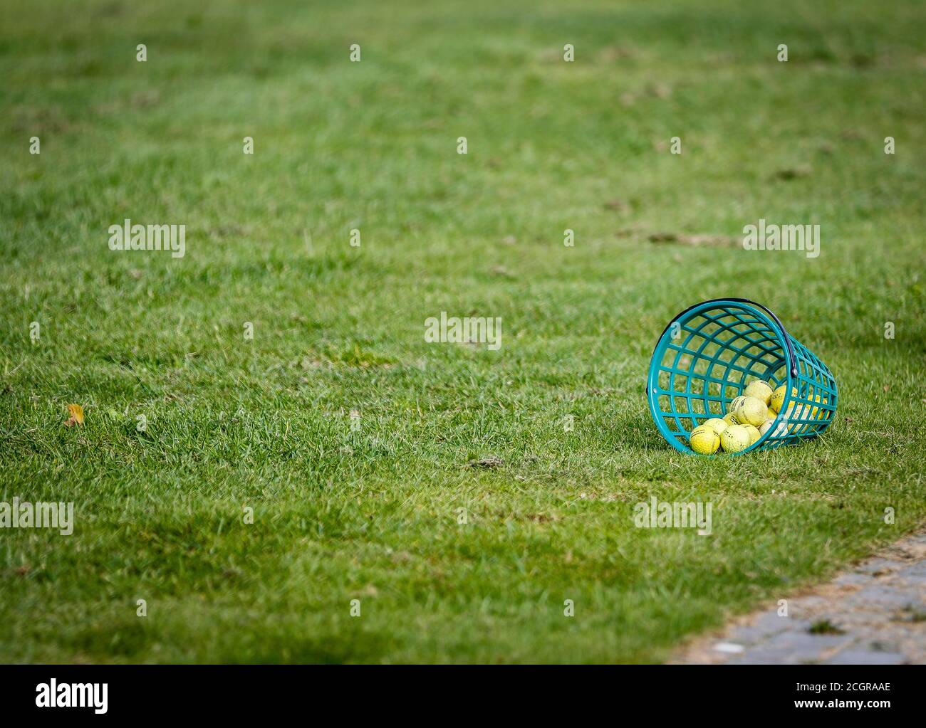 The Training golf ball basket for training Stock Photo - Alamy