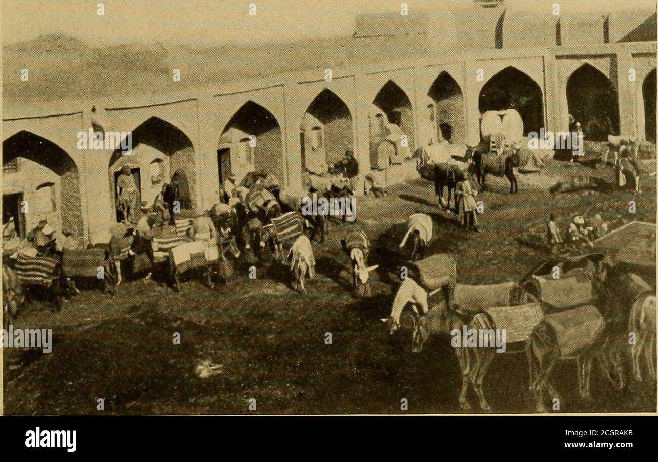 Shepherd on a map hi-res stock photography and images - Alamy