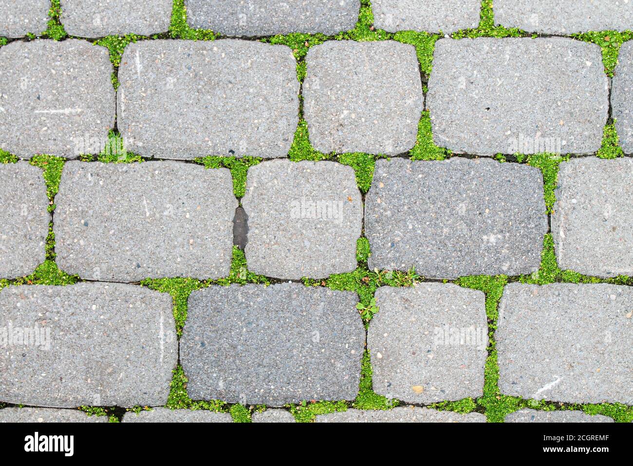 The grass grows through the stones of the paving stones Stock Photo - Alamy